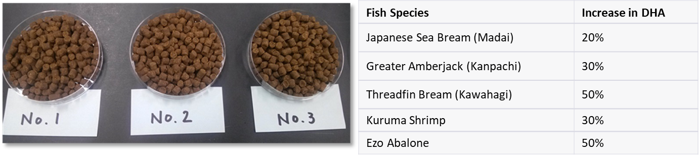 Production Technology of Highly Unsaturated Fatty Acids as Fish Oil ...