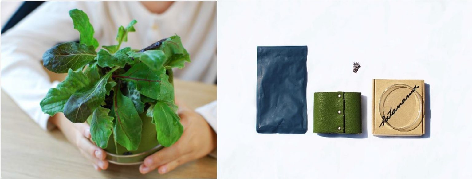 Euglena Co., Ltd. Hosts the 5th Annual “Euglena Fest 2023” - Euglena Lab