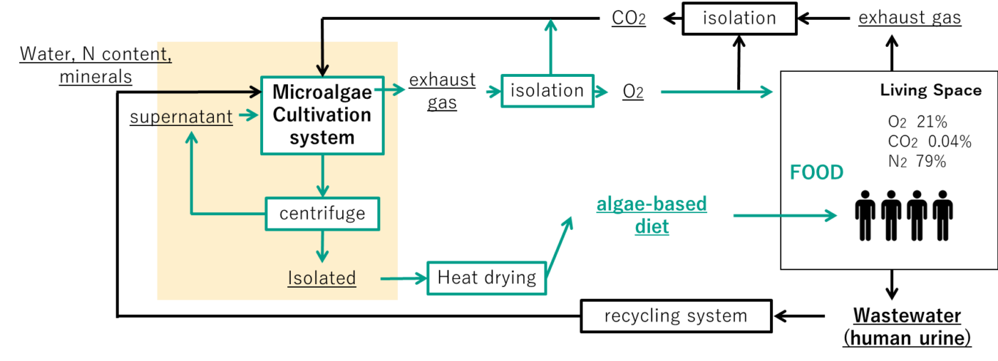 Review Article1: Algal Utilization in Space - Euglena Lab