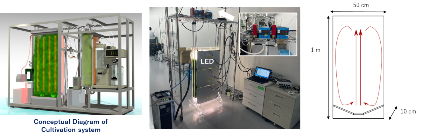 Review Article1: Algal Utilization in Space - Euglena Lab