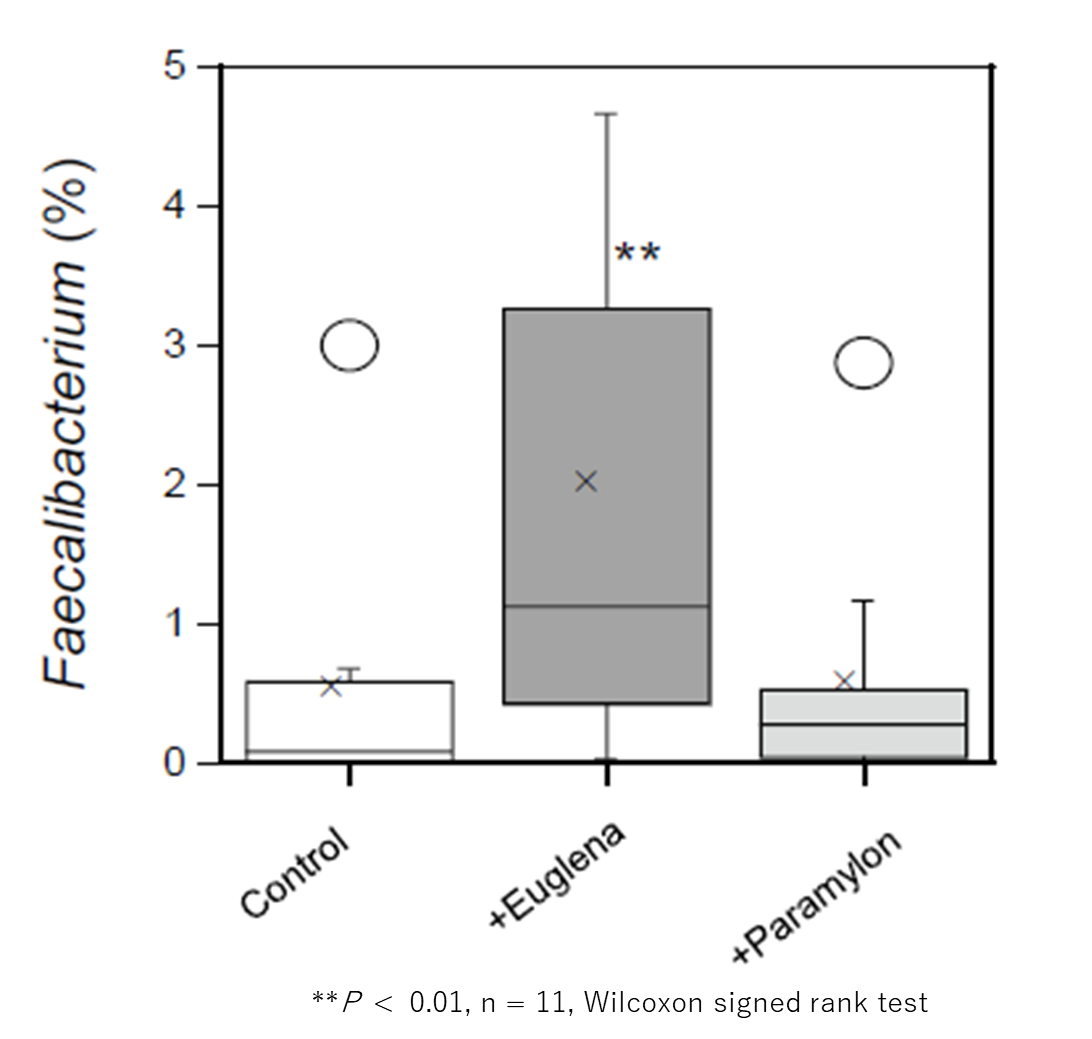 The Potential of Euglena Gracilis for Fundamental Health Enhancement: Insights from the Global ...