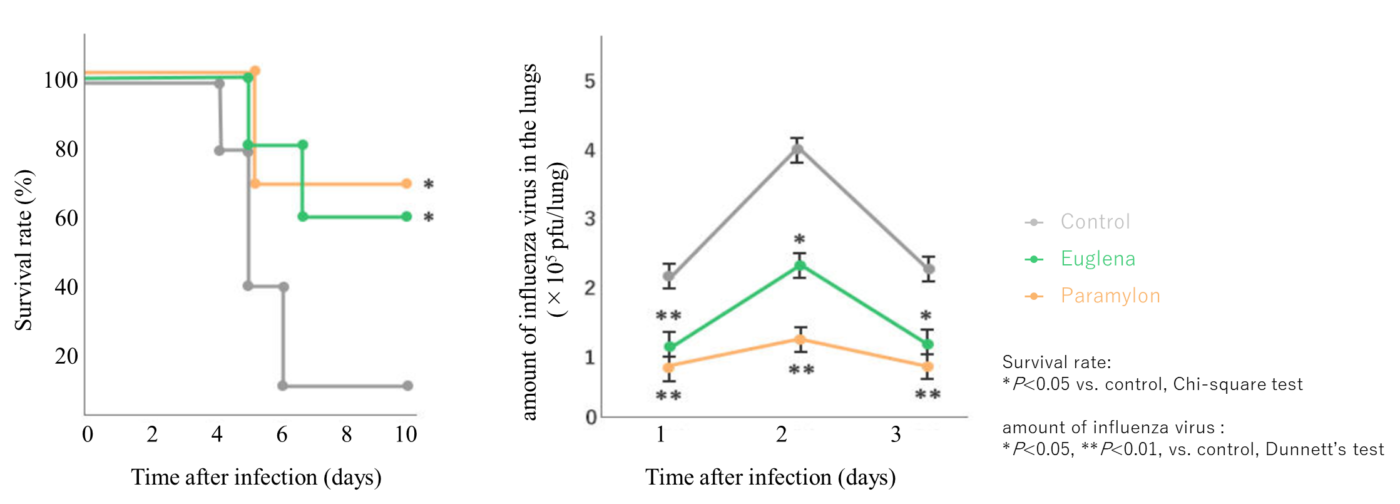 The Potential of Euglena Gracilis for Fundamental Health Enhancement: Insights from the Global ...